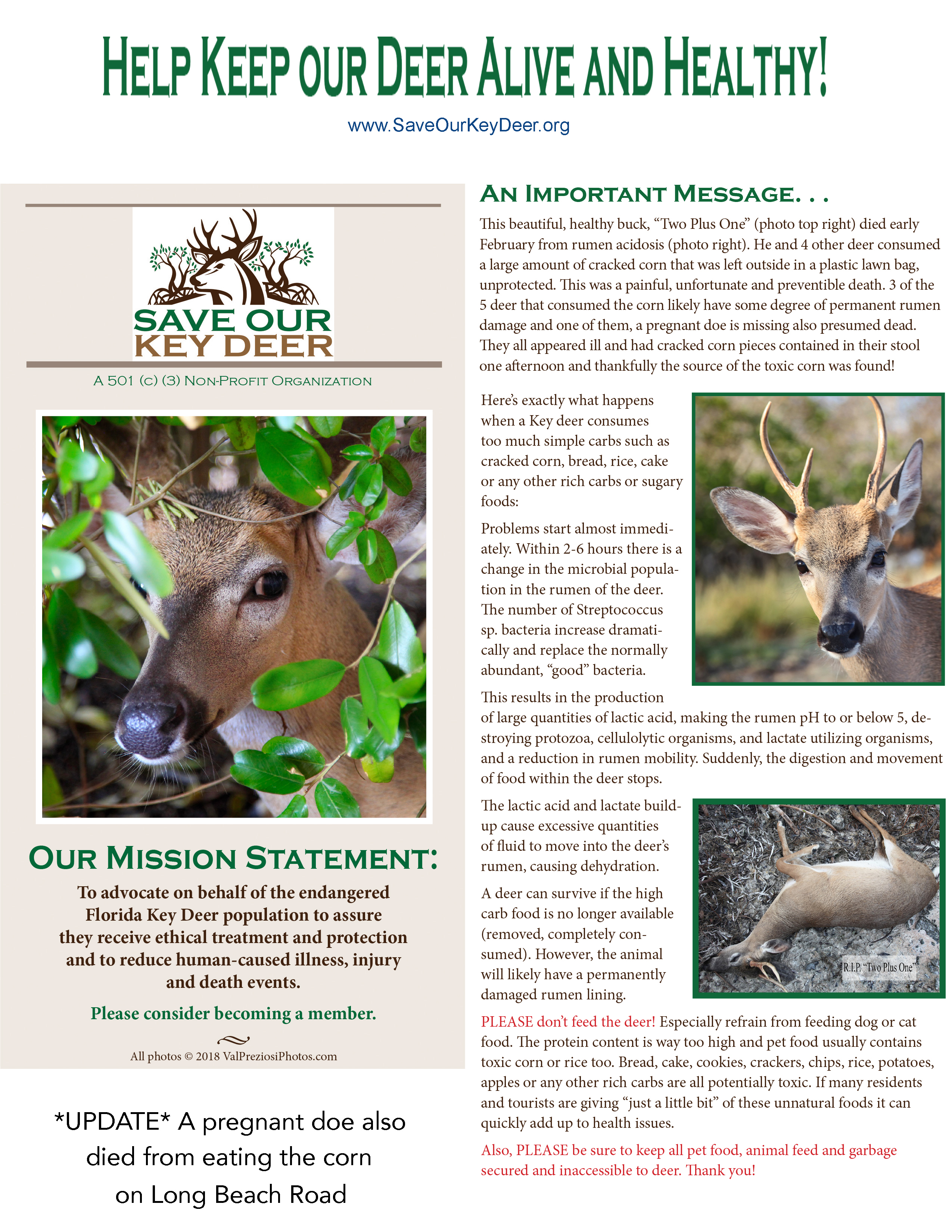 SOKD Flyer Handout Side A | Save Our Key Deer