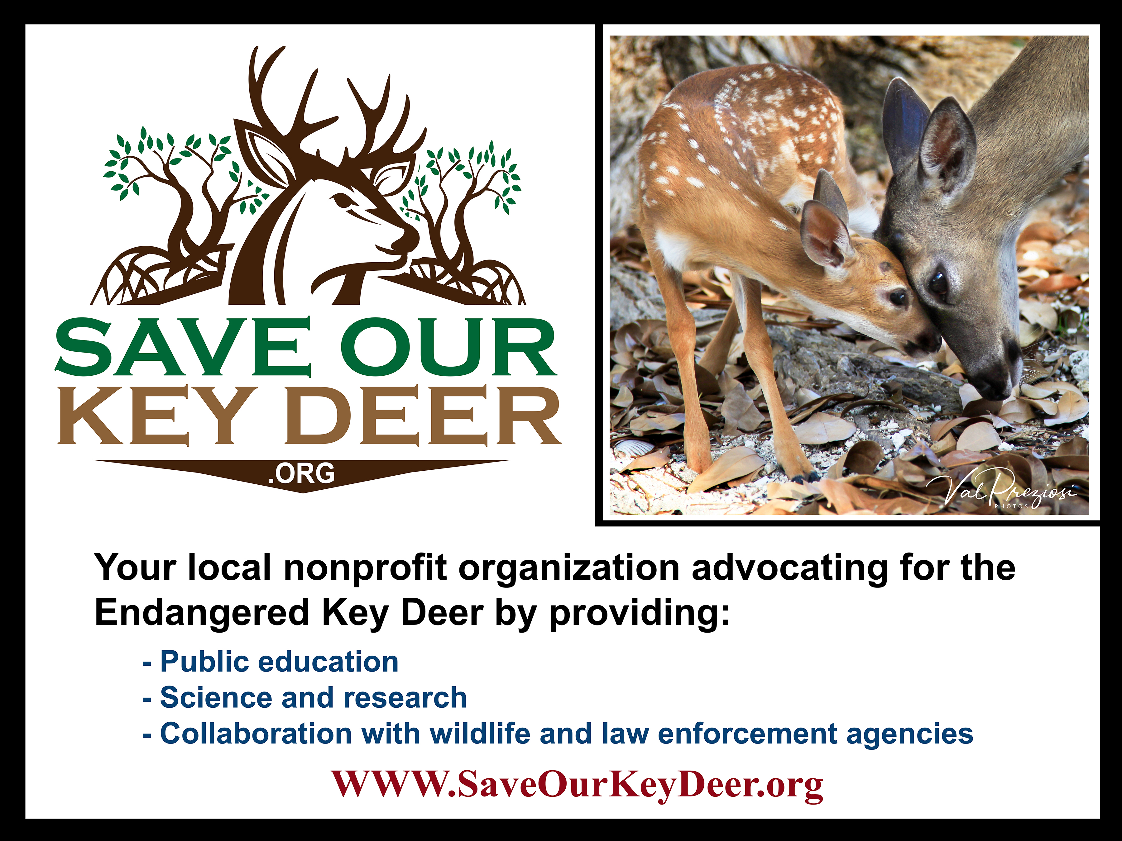 Sponsors | Save Our Key Deer