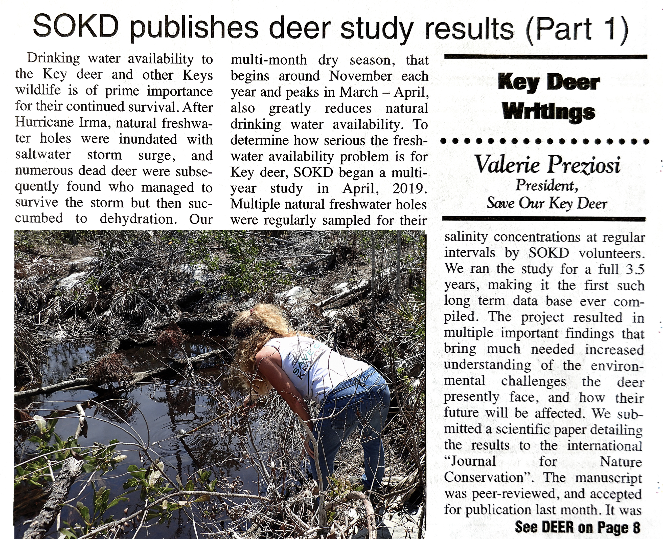 (1/3/25) SOKD publishes deer study. Results: Part 1 | Save Our Key Deer